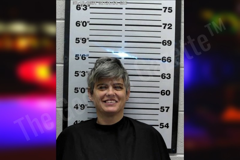 Heather Flippin — Hart County Jail Bookings