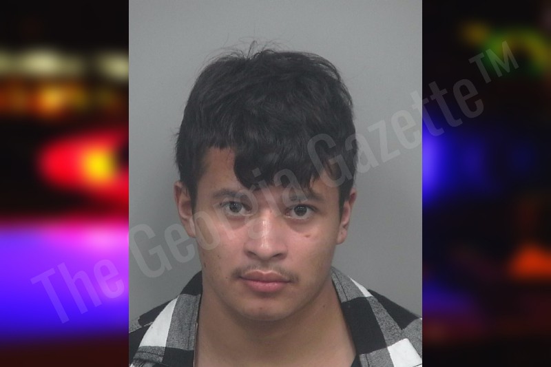 Leonides Garciagarcia — Gwinnett County Jail Bookings