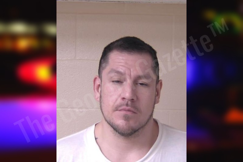 Jimmie Goins — Walker County Jail Bookings