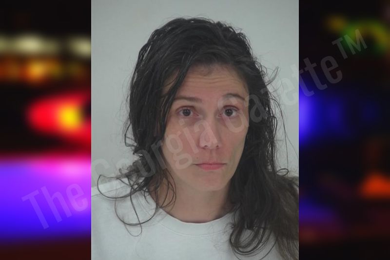 Jenisa Gomez — Fayette County Jail Bookings