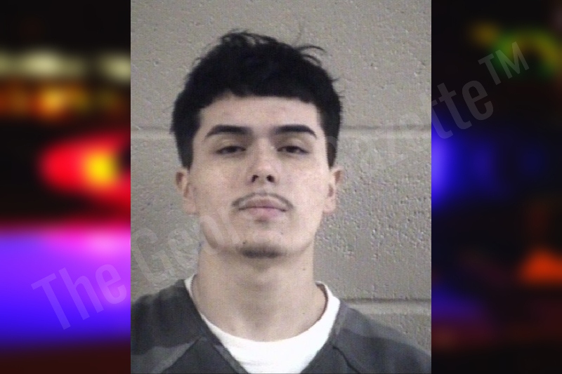 Brandon Guzman — Whitfield County Jail Bookings