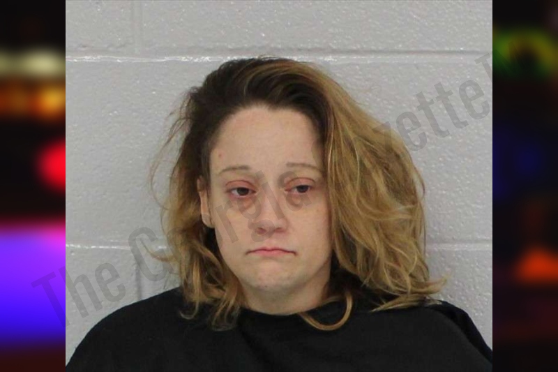 Kathryn Hanie — Carroll County Jail Bookings