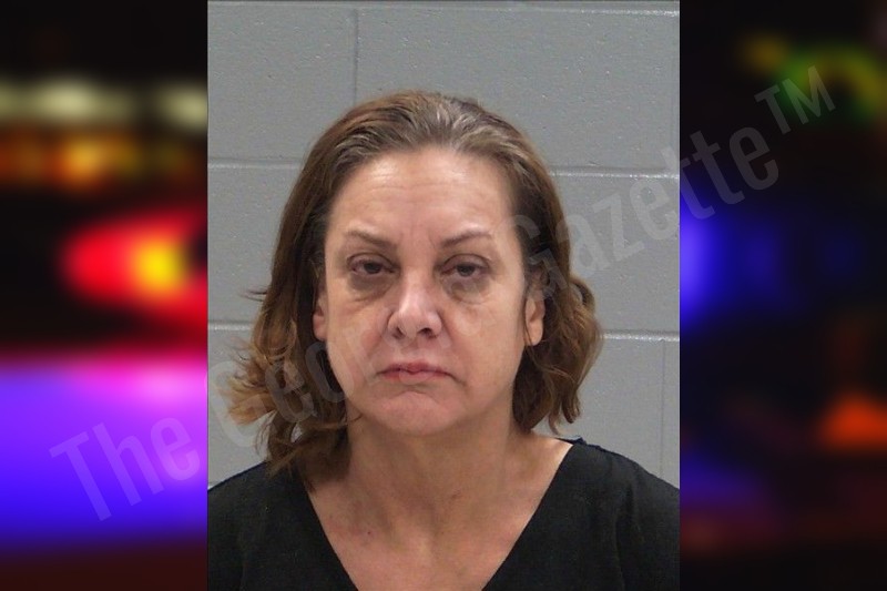 Andrea Higgins — Baldwin County Jail Bookings