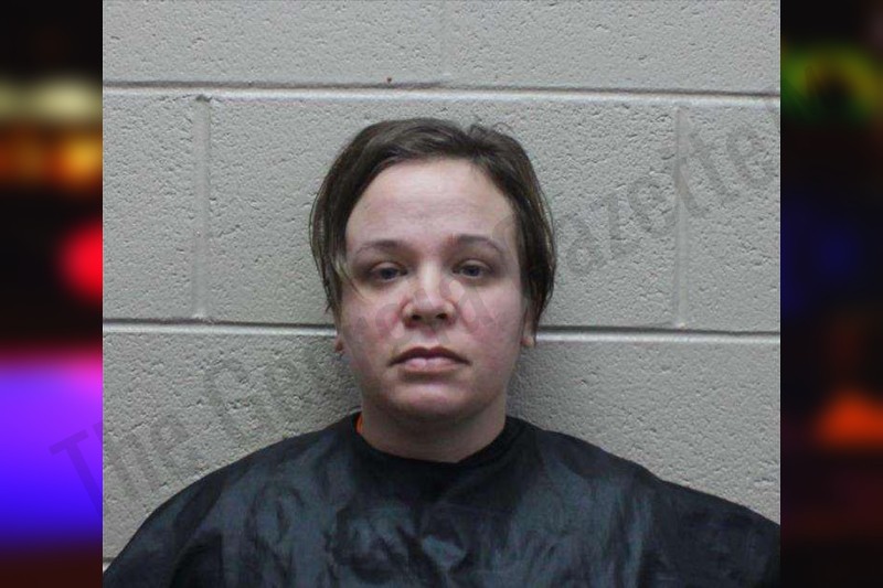 Elizabeth Holcombe — Haralson County Jail Bookings
