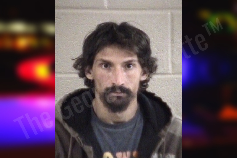 Christopher Harrell — Whitfield County Jail Bookings