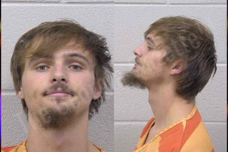 Ethan Hartzer — Paulding County Jail Bookings