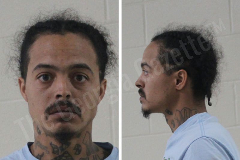 Stacy Harvey — Houston County Jail Bookings