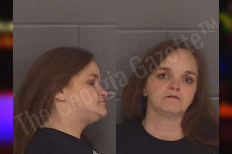Jennifer Holmes — Barrow County Jail Bookings