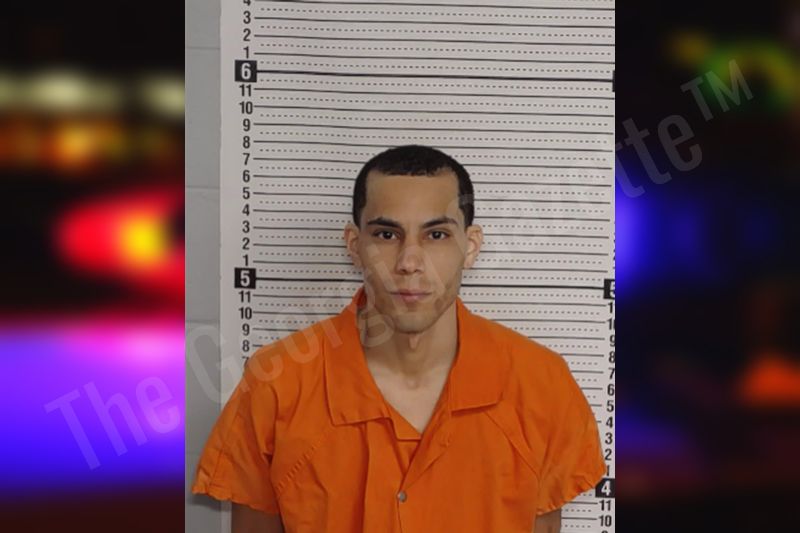 Shane Jordan — Rockdale County Jail Bookings