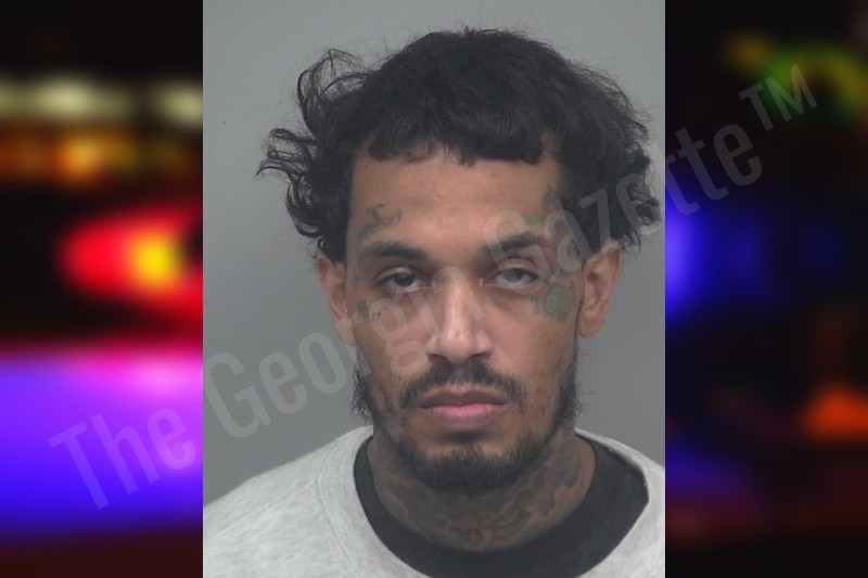 Austin Lee — Gwinnett County Jail Bookings