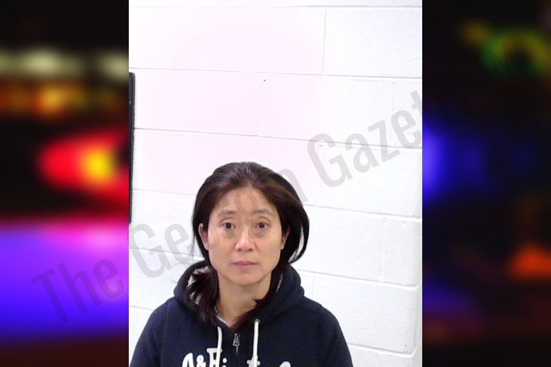 Jing Li — Fulton County Jail Bookings