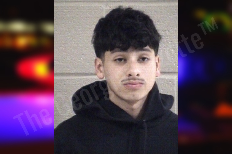 Luis Marquez — Whitfield County Jail Bookings