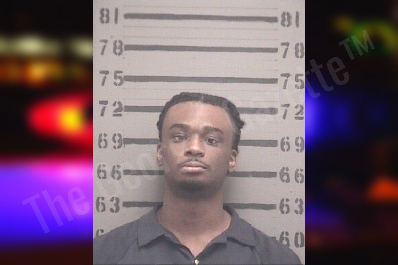 Maleek Mitchell — Dougherty County Jail Bookings