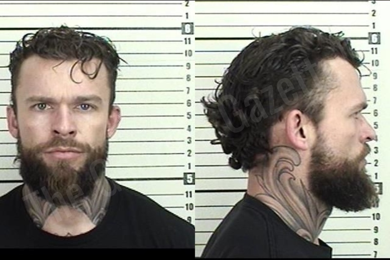 Alex Nelson — Camden County Jail Bookings
