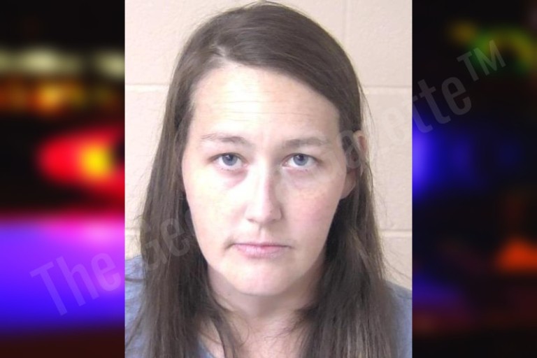 Megan Owen — Walker County Jail Bookings