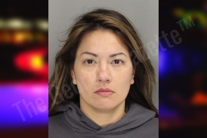 Cassandra Patchett — Cobb County Jail Bookings