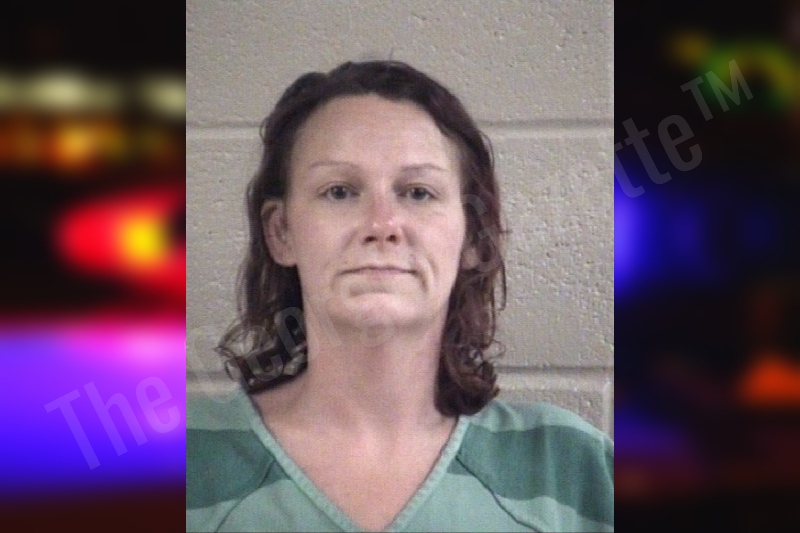 Brittany Pangle — Whitfield County Jail Bookings