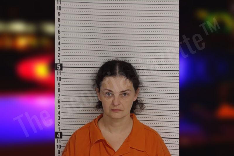 Jennifer Powers — Rockdale County Jail Bookings