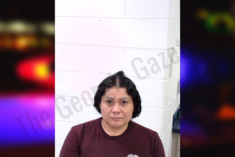 Glenda Ramirez — Fulton County Jail Bookings