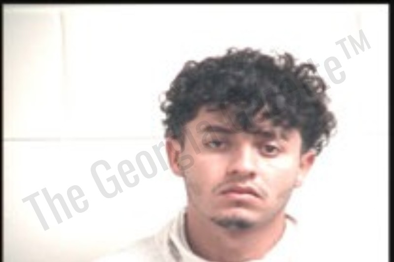 Alex Raudales Ramos — Henry County Jail Bookings