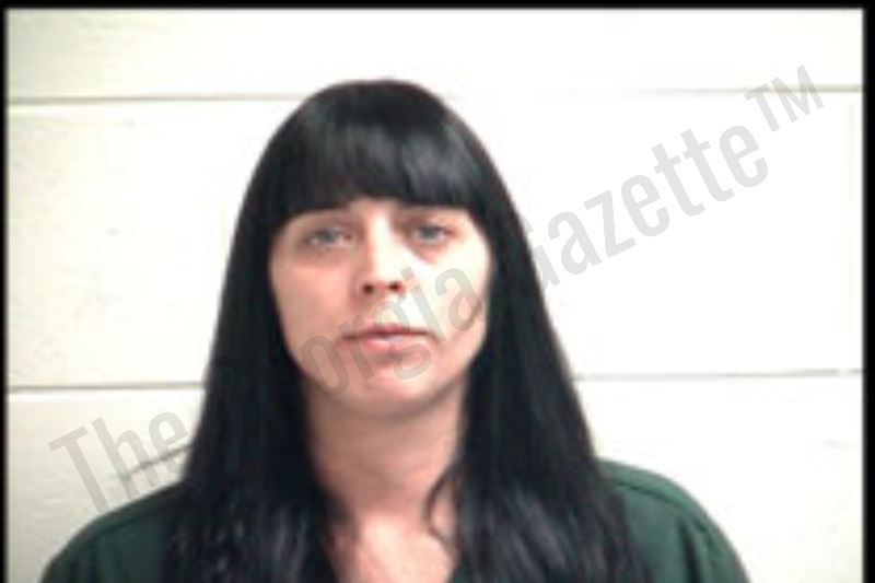 Chelsea Reed — Henry County Jail Bookings