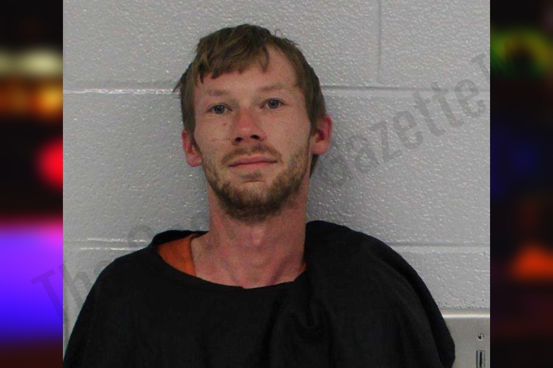 Logan Reese — Carroll County Jail Bookings