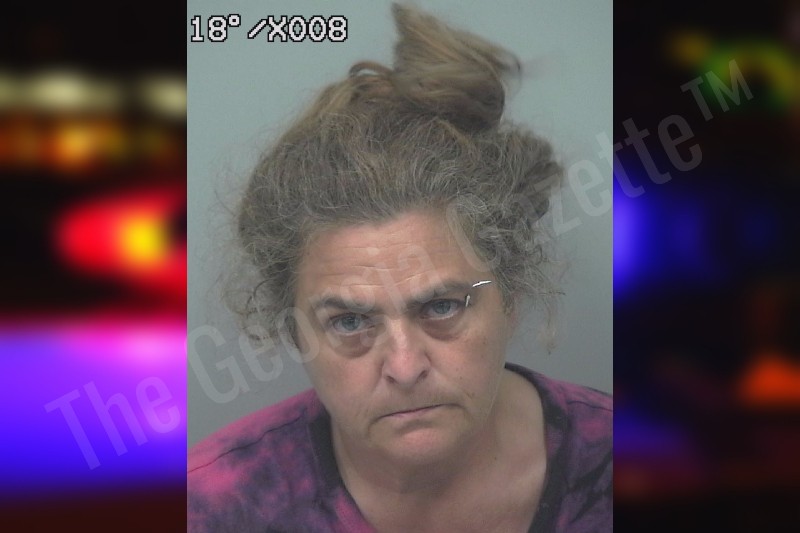 Elizabeth Rios Cruz Ortiz — Gwinnett County Jail Bookings