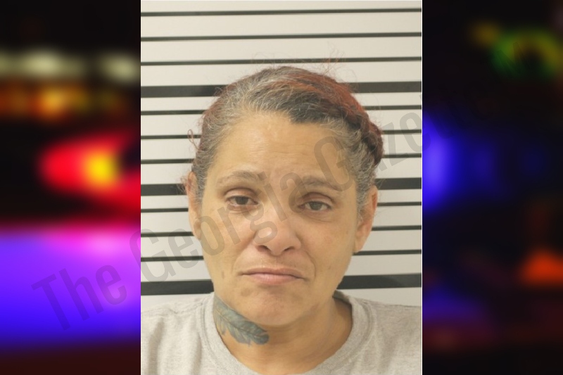 Laura Rochester — Toombs County Jail Bookings