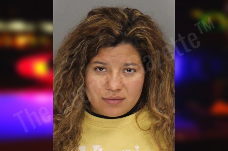 Juana Rodriguez — Cobb County Jail Bookings