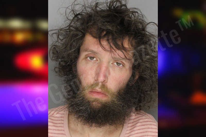 Aaron Rudner — Cobb County Jail Bookings