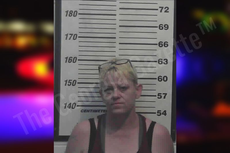 Robin Ray — Meriwether County Jail Bookings