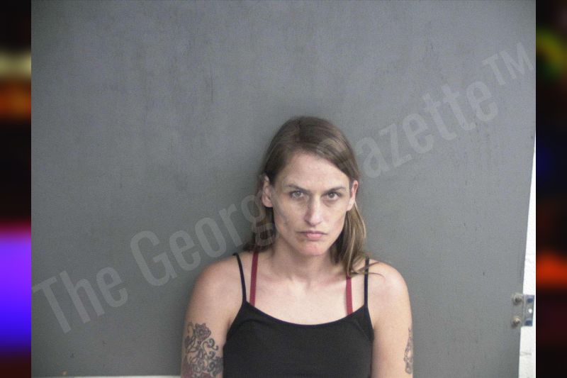 Lara Riggins — Twiggs County Jail Bookings