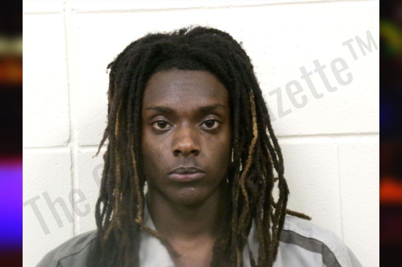 Brandon Riggs — Bulloch County Jail Bookings