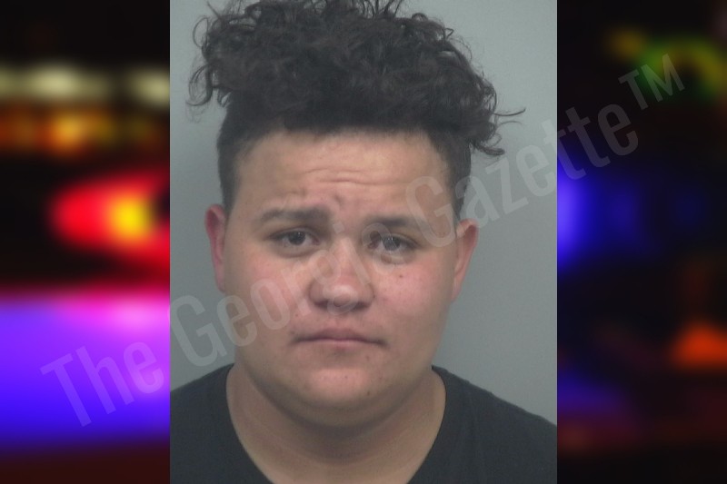 Edwin Sierra Valle — Gwinnett County Jail Bookings