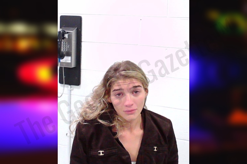 Emma Singer — Fulton County Jail Bookings