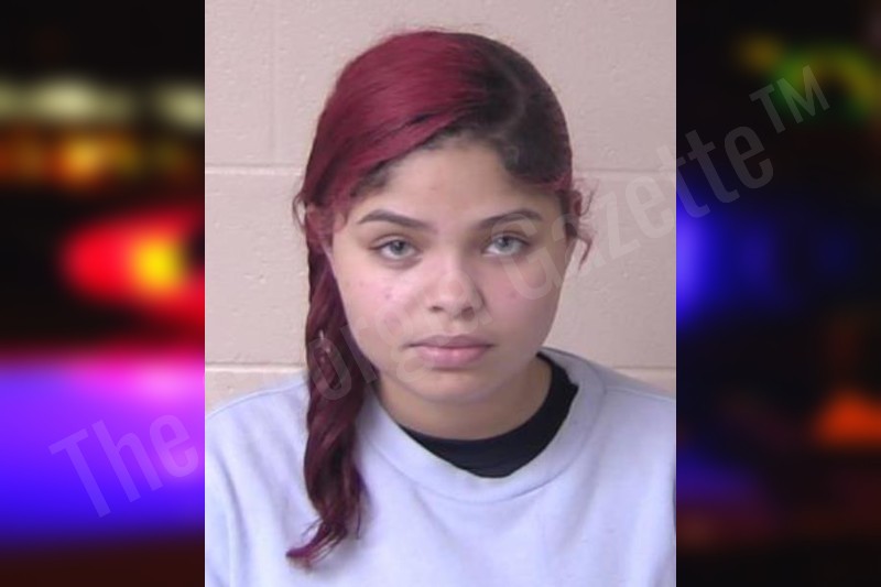 Kierra Smith — Walker County Jail Bookings