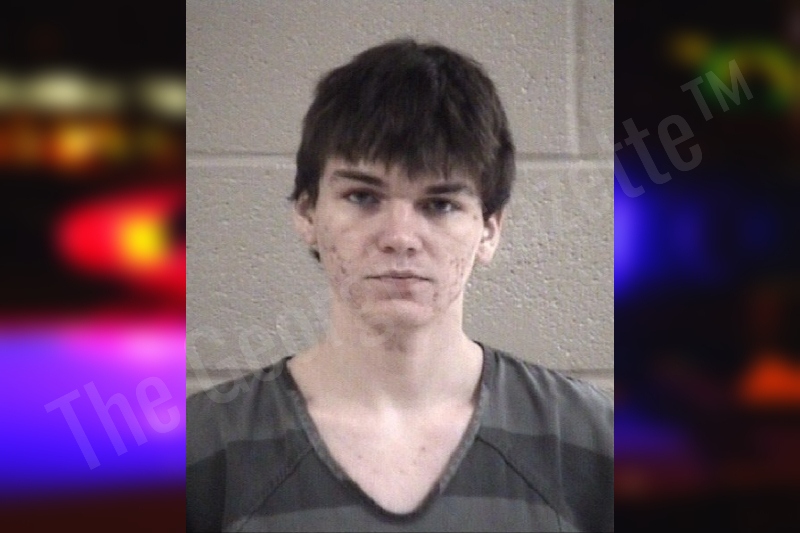 Matthew Sosebee — Whitfield County Jail Bookings