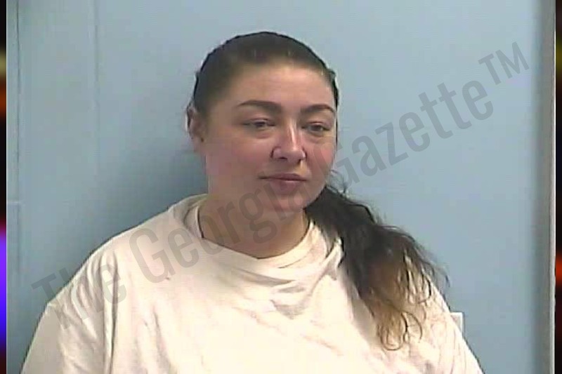 Hayley Sullivan — Dawson County Jail Bookings