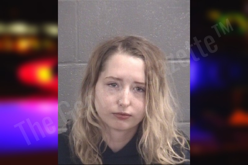 Destiny Sutton — Spalding County Jail Bookings