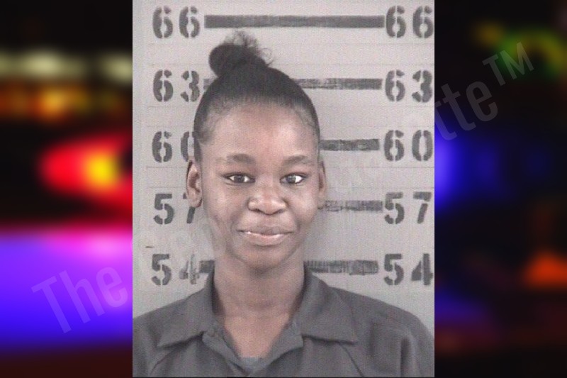 Sonyanna Tinson — Dougherty County Jail Bookings
