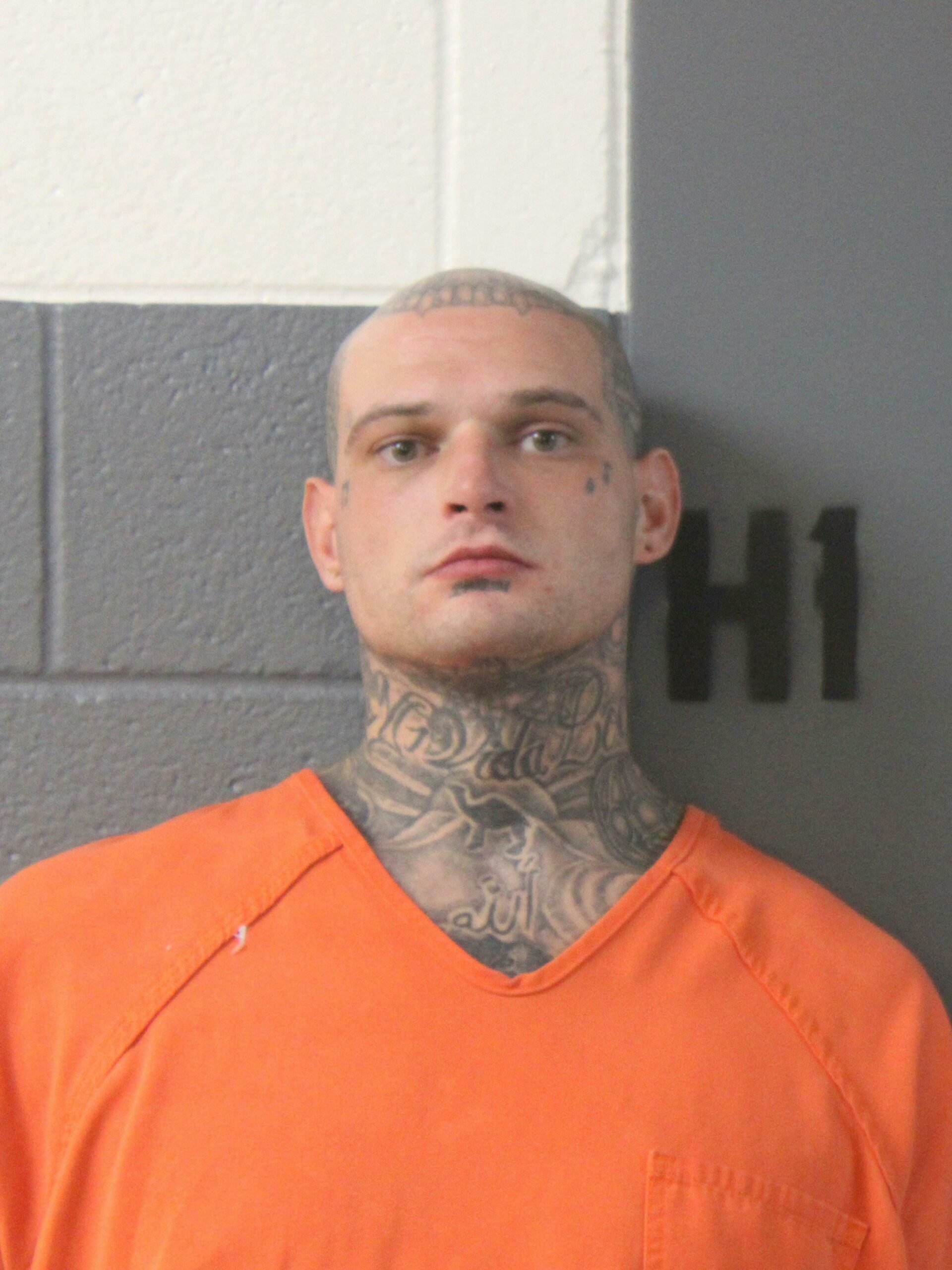 Travis Turpin — Lumpkin County Jail Bookings