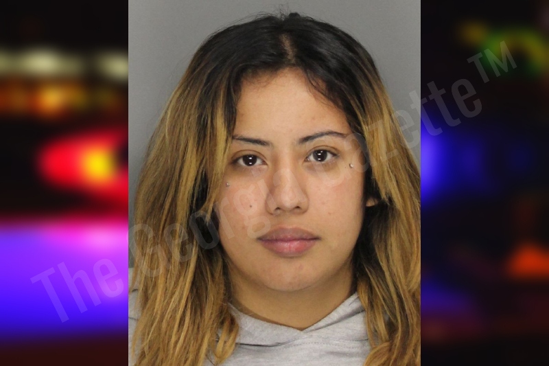 Esmeralda Valadez — Cobb County Jail Bookings