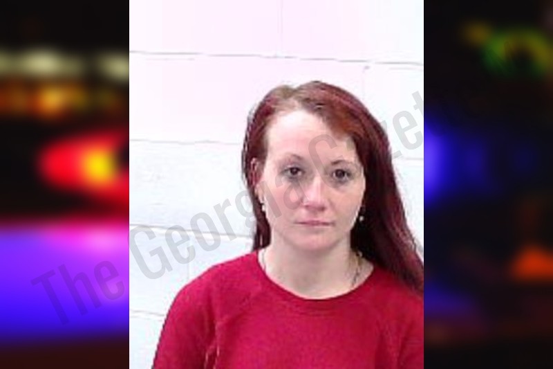 Elaina Veal — Fulton County Jail Bookings