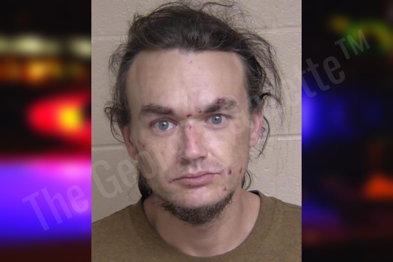 Richard Wardell — Walker County Jail Bookings