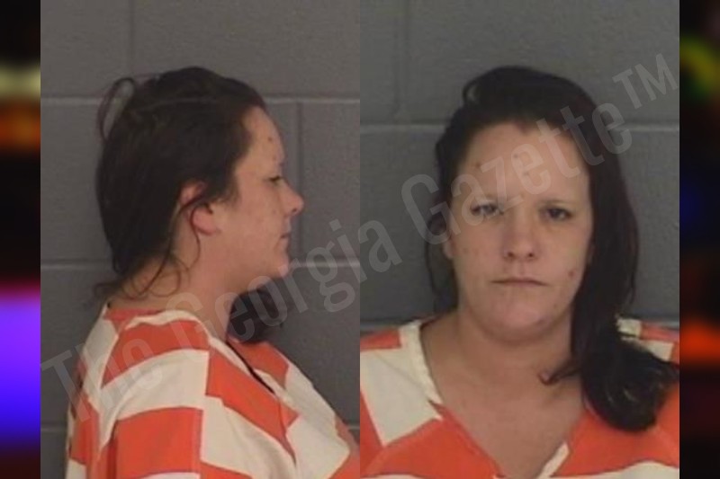 Chloe Watkins — Barrow County Jail Bookings