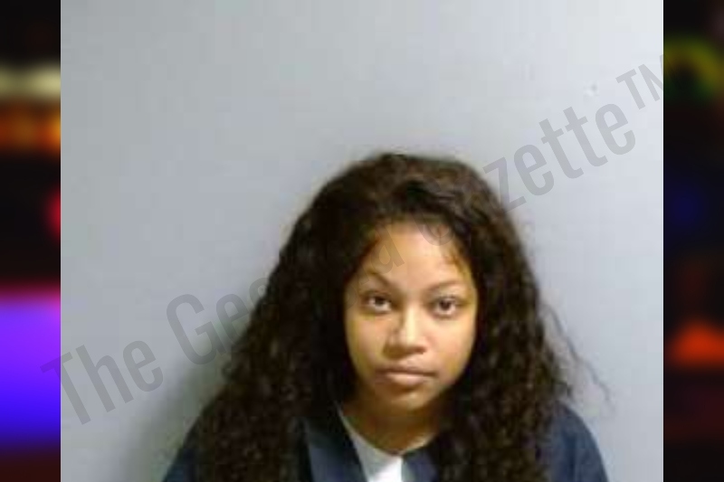 Joni Williams — Fulton County Jail Bookings