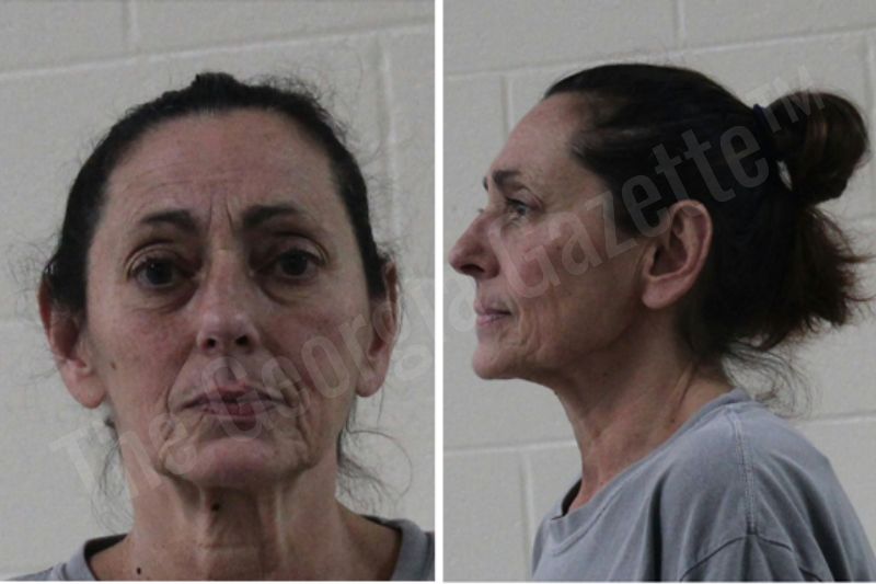 Deborah Wilson — Houston County Jail Bookings