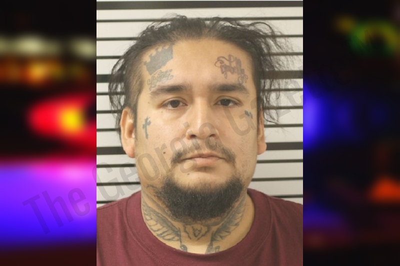 Cody Alamia — Toombs County Jail Bookings