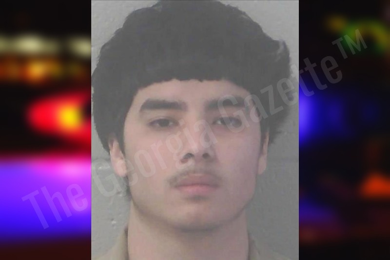 Diego Alvarez — Newton County Jail Bookings