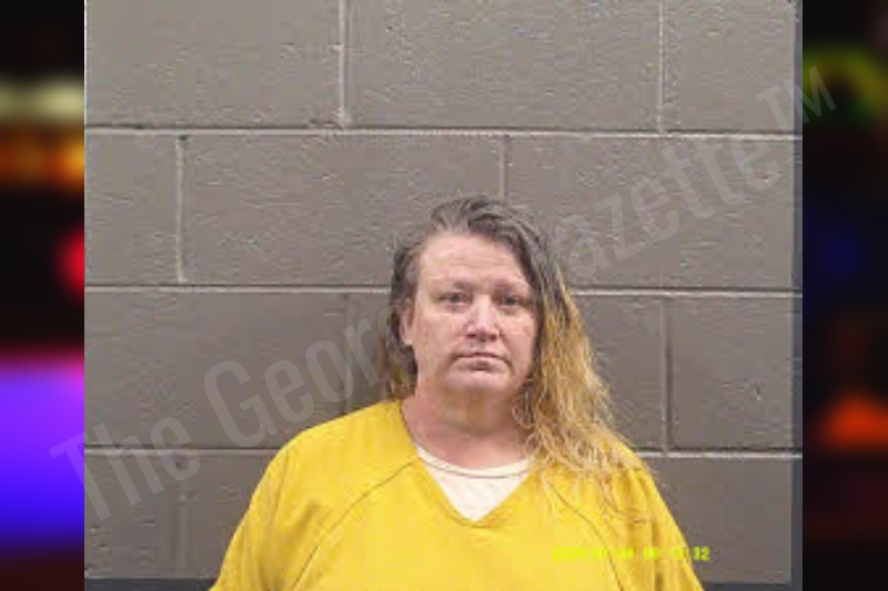 Amy Turpin — Banks County Jail Bookings